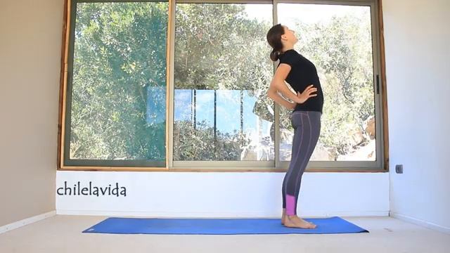 ВИНЬЯСА ЙОГА  Йога для Спины Растяжка Спины Укрепление Спины День 5. Йога |Елена Малова