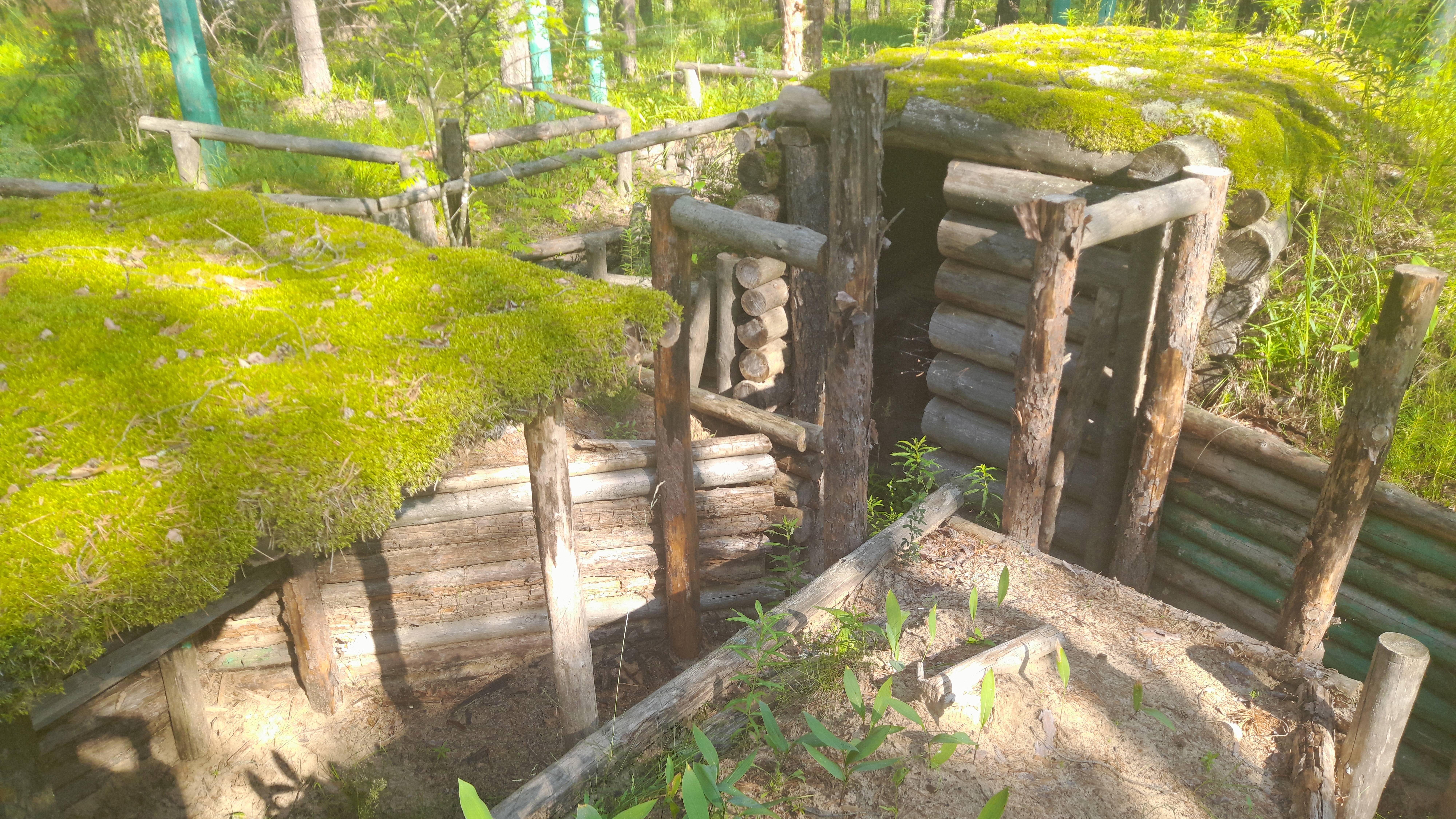 Очередные 3 часа в лесу с МД. (Марий Эл)