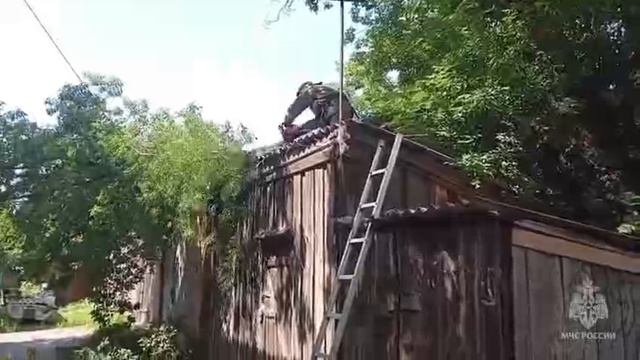 Опиловка упавшего дерева в г. Льгове