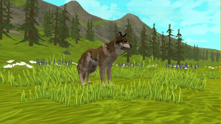 вилдкрафт #9