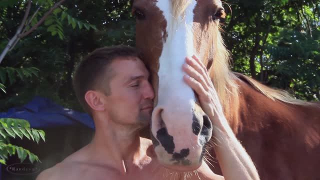 " Однажды на западе ... "  Музыкальная шкатулка