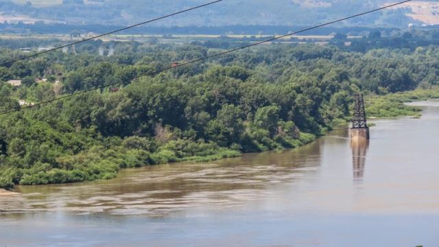 В сосновом бору Кемерово