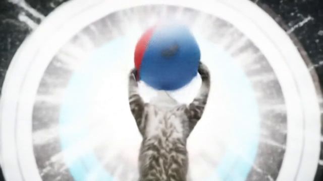 Мультик "Котенок и хомяк"/Kitten and hamster