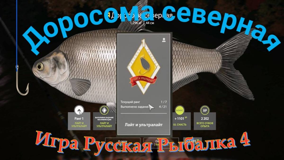 Доросома северная, трофей на ультралайт, озеро Лосиное, Русская рыбалка 4, место ловли, сборка
