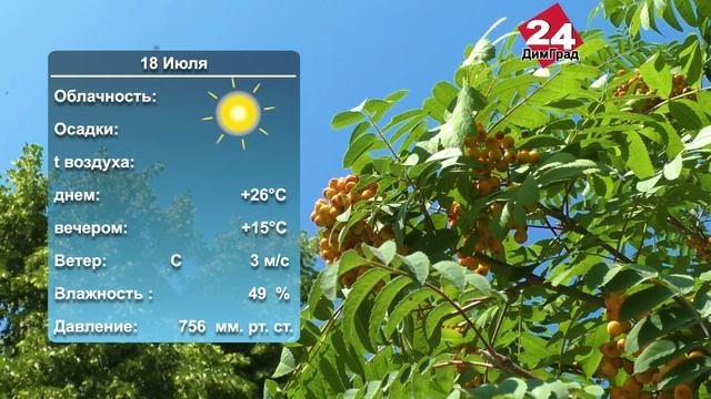 Погода на завтра. 17.07.2025