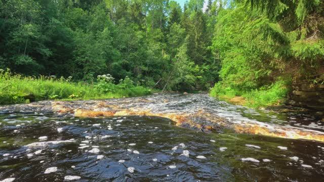 Сплав на сапе по реке Мга от Турышино до Пухолово 12 июля 2025