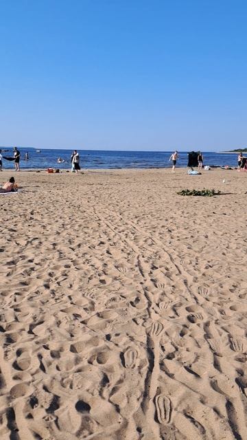 Детский мелководный пляж в Швеции, мелко очень далеко, 26 градусов в воде. Rullsand