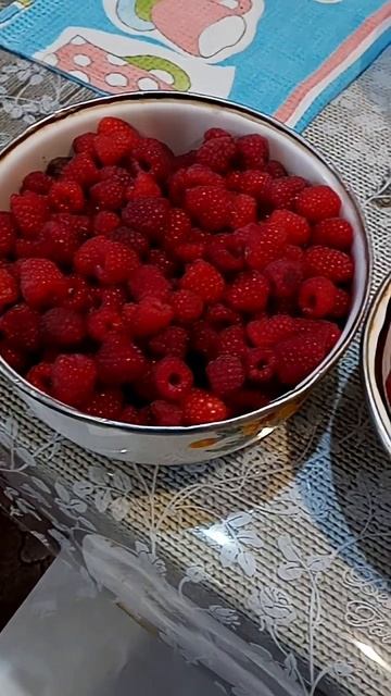 Малина Брянское  диво.