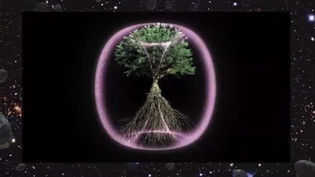 Мироздание - это один большой тороид.