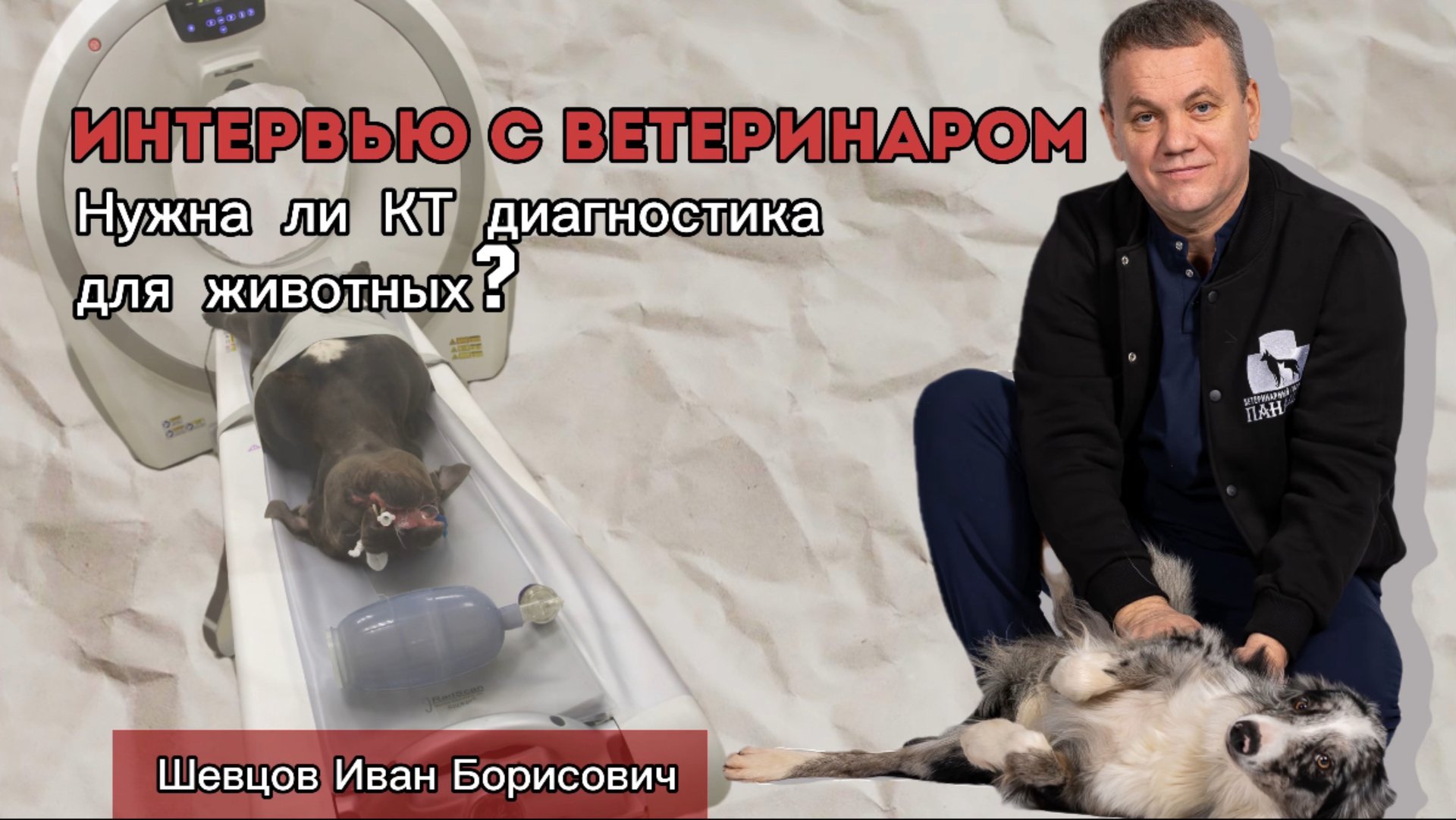 Компьютерная томография для животных|Ветеринар отвечает на частые вопросы