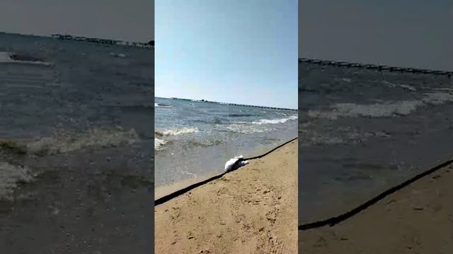 17-07-2025 Анапа пляж