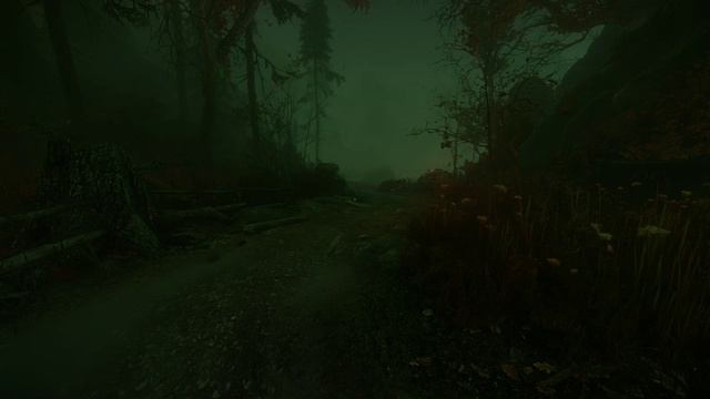 The Cursed Forest - Проклятый лес