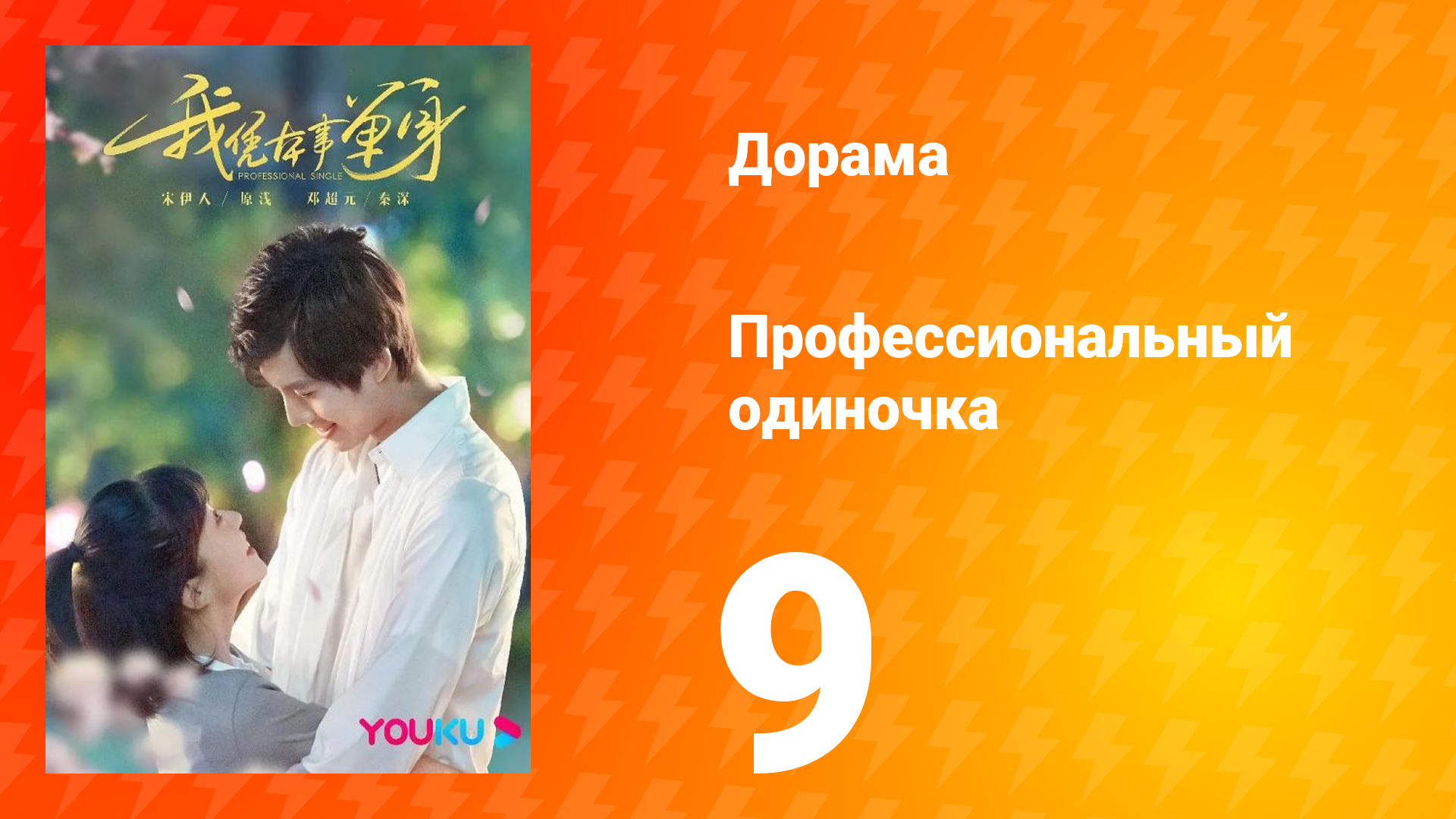 Профессиональный одиночка 1 сезон 9 серия