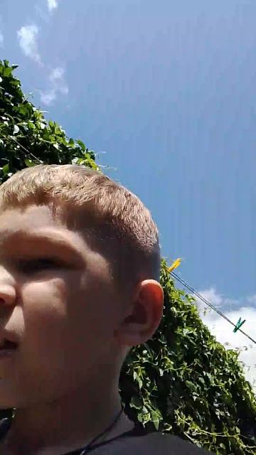 ролик на 17 подпищиков