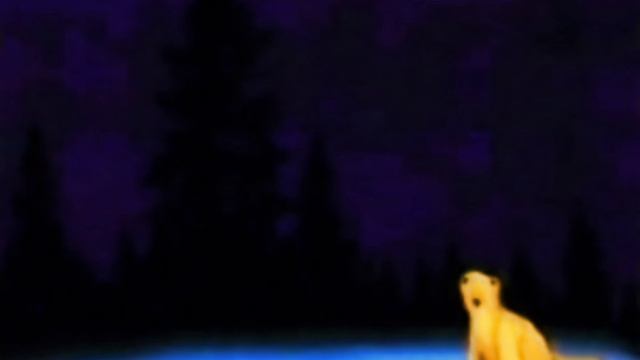 Polar bear 2026 or dweller polar bear from 2026