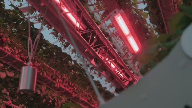 🍓♻️ Построена клубничная ферма будущего.