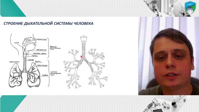 Сысинские чтения 2024. Секция 1