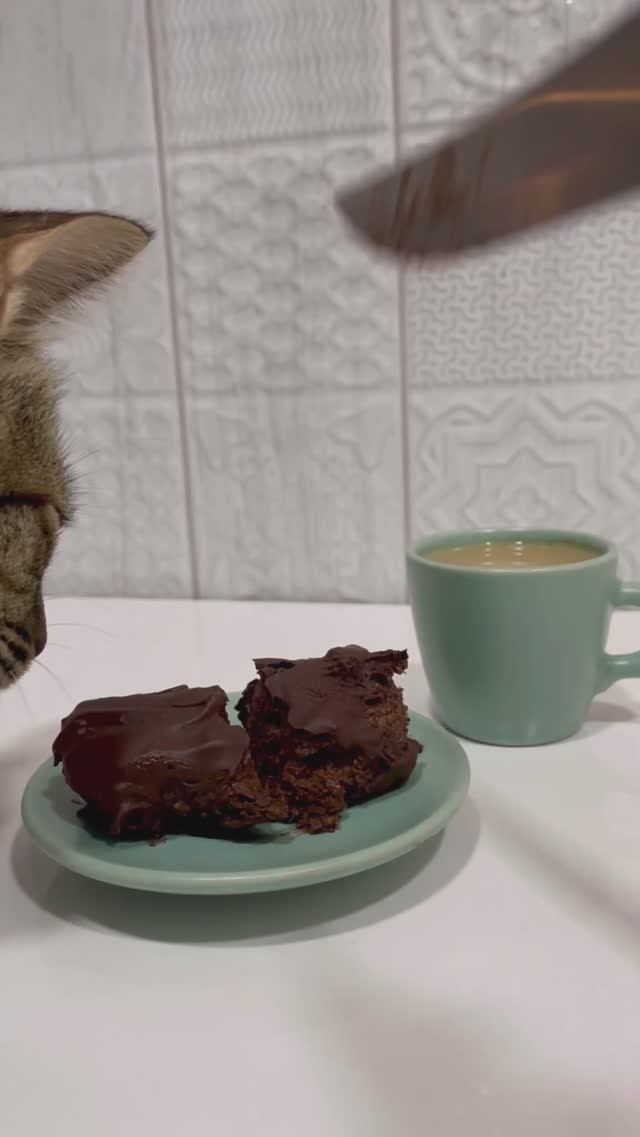 Пп десерт пирожное картошка ↗️рецепт в описании #пп #ппрецепты #пирожноекартошка #простойрецепт