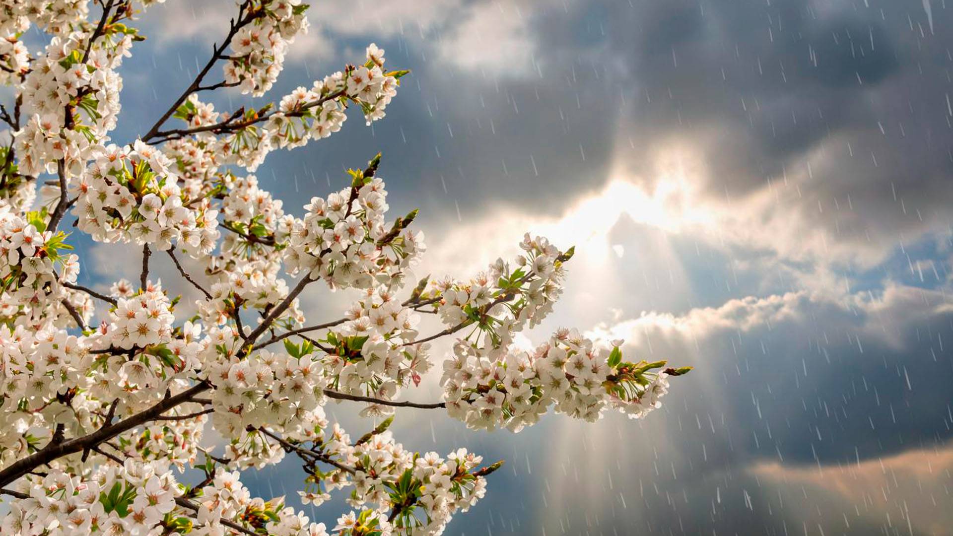 Вверх по холму