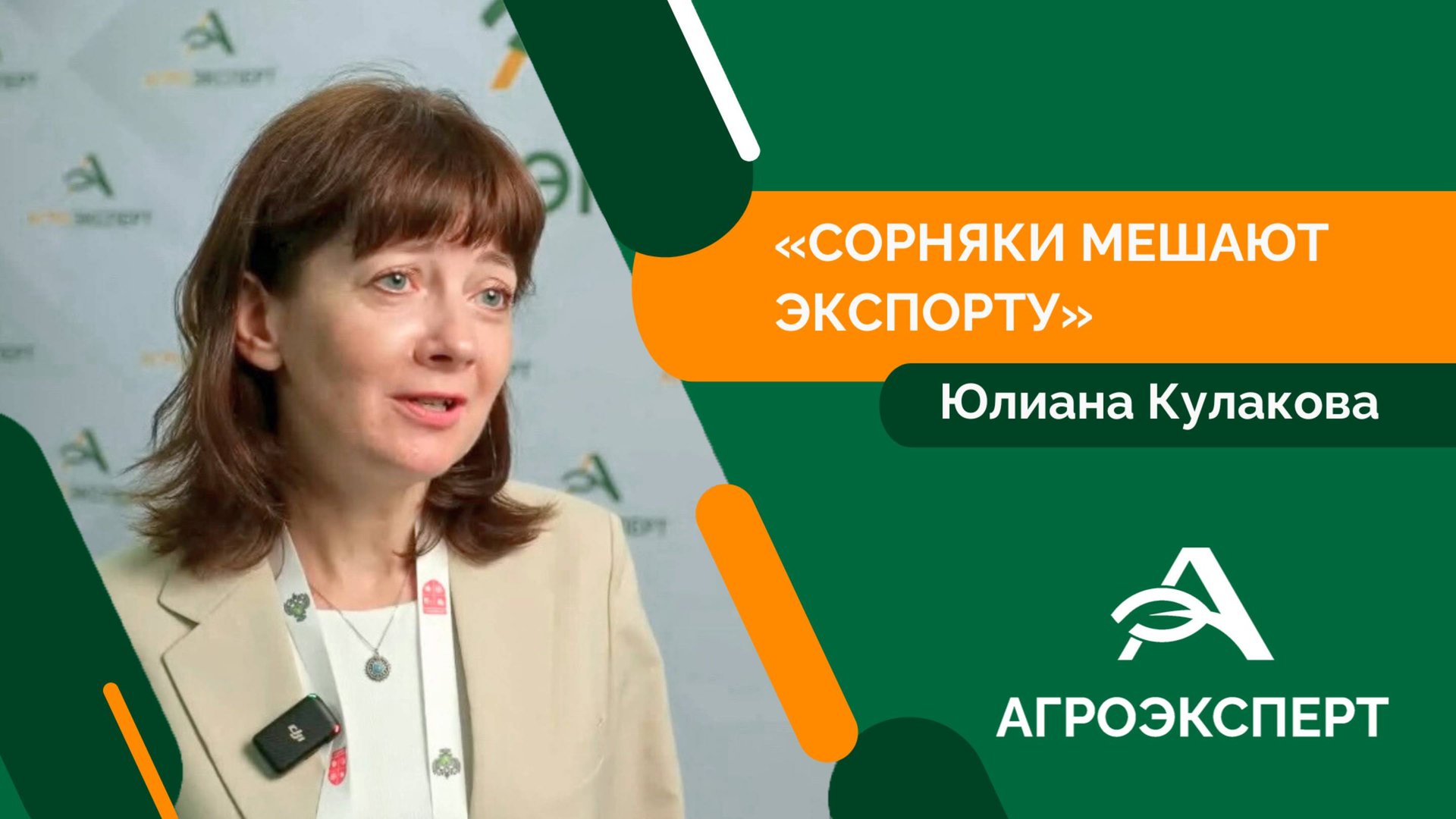Овес Людовика: как не пустить сорняк в зерно