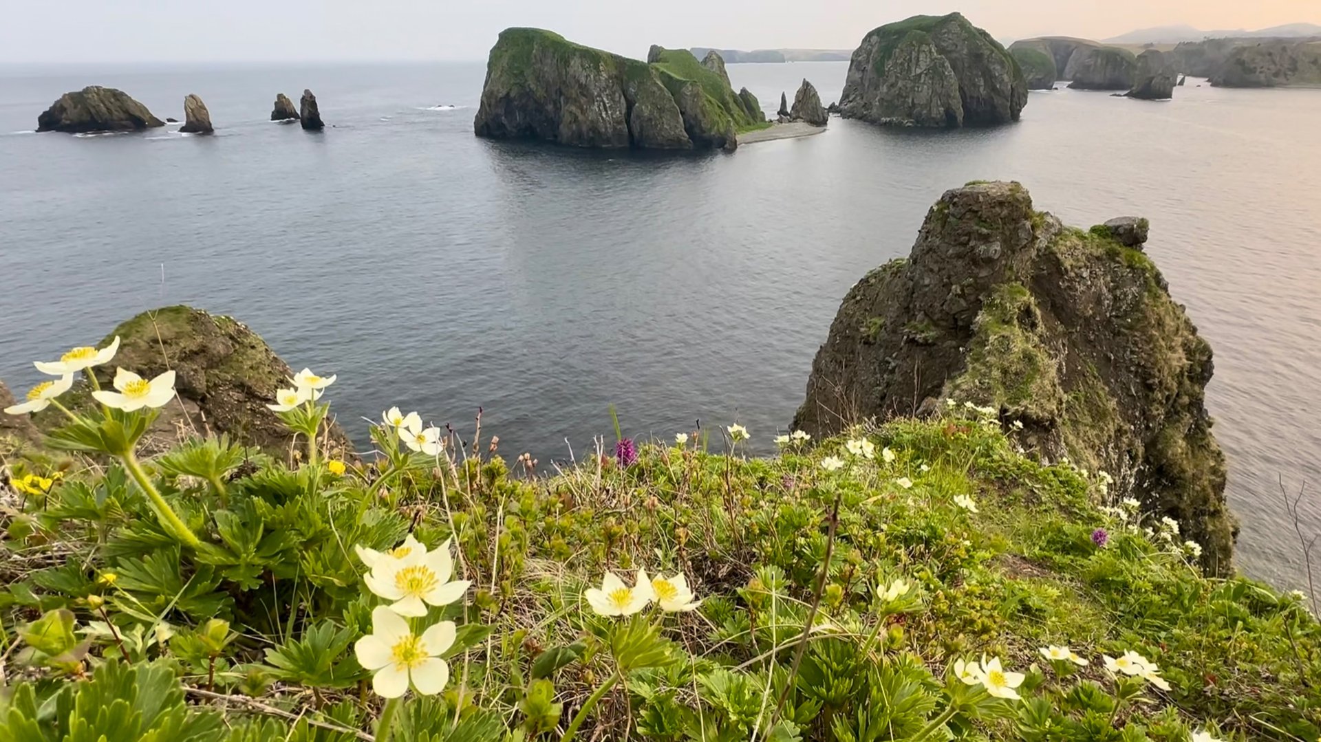 Бухта Безымянная ❤️ на острове Шикотан. День 5. Курильские острова 30.05.25
