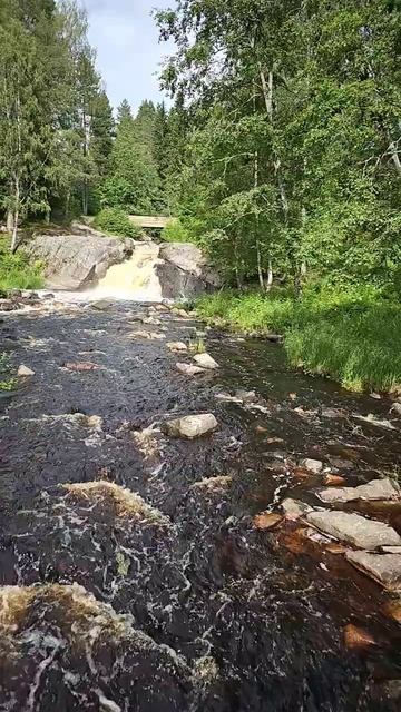 Карелия. Питкяранта. Водопад Нижний Койриноя. Karelia. Pitkyaranta. Lower Koirinoya Waterfall (4)