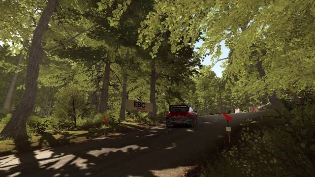 Dirt Rally-Numb  ps4 ps5