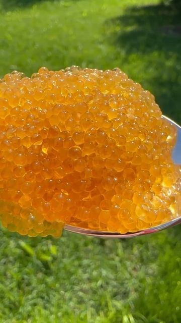 ✨🐟Икра Северной щуки - деликатес, который очень ждали! ✨