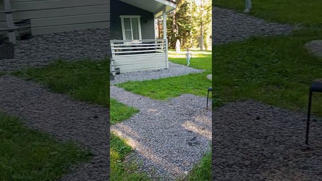 Уехали на дачу...