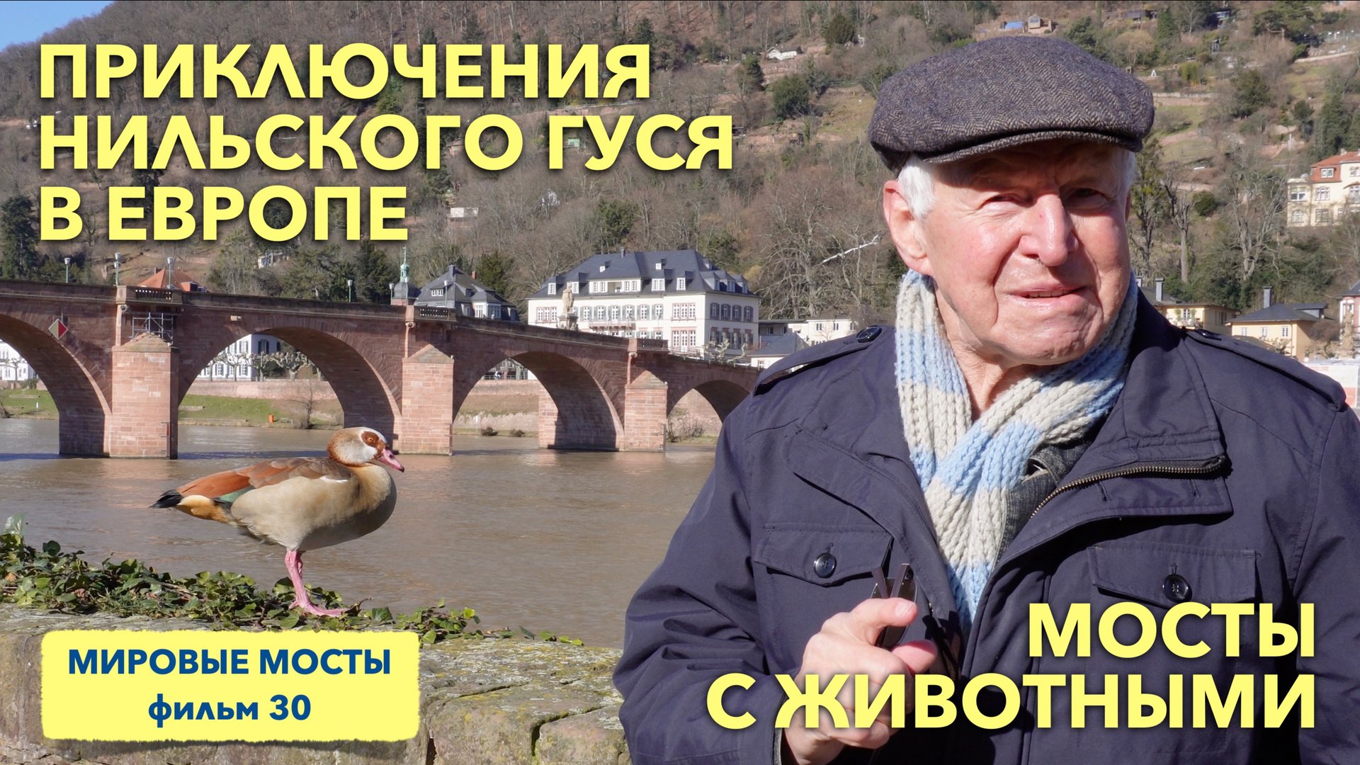 Мосты с животными: Приключения нильского гуся в Европе | Мировые Мосты (фильм 30)