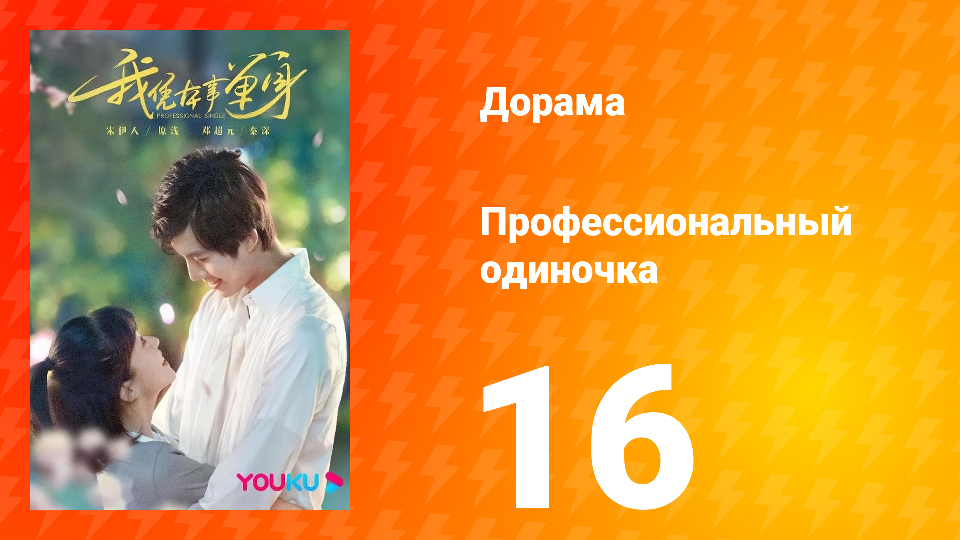 Профессиональный одиночка 1 сезон 16 серия