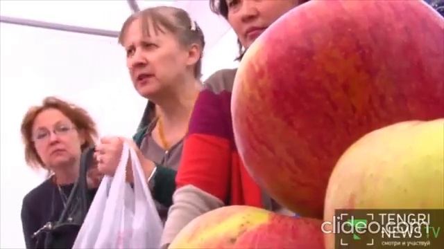 Амандық Құрманбаев. Алматының алмасы. Алматинское яблоко. Подпишитесь на канал.