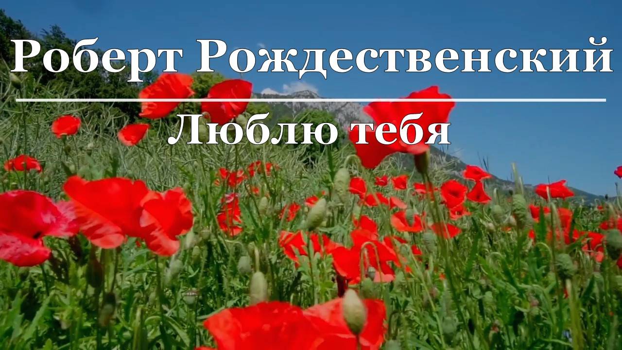 Роберт Рождественский - Люблю тебя