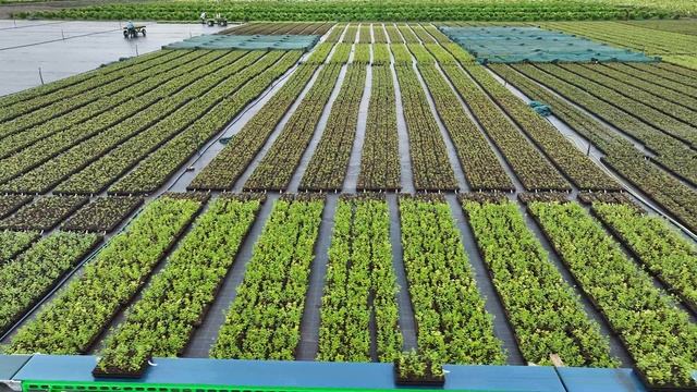 Находясь на земле, сами не всегда осознаем свои масштабы.