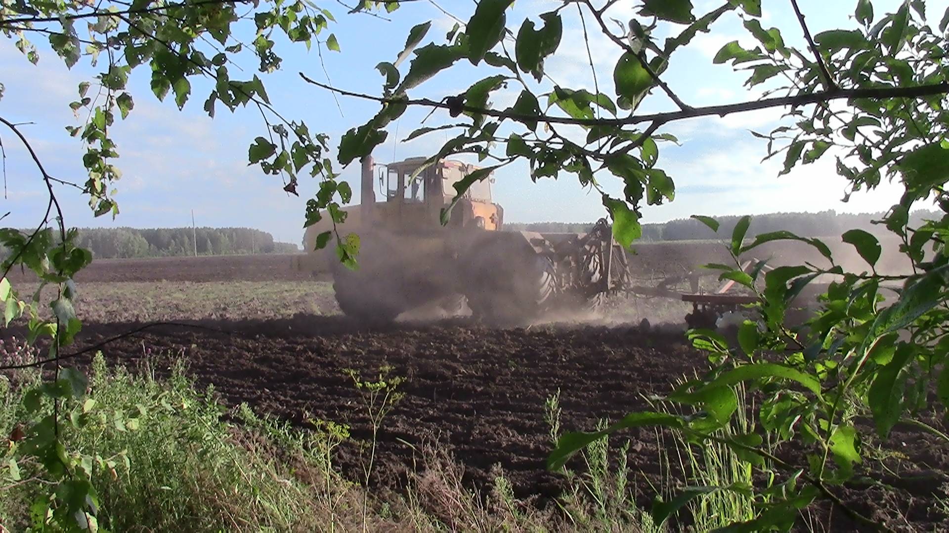 Муромцево 17 июля 2025г Кокшеневские поля
День год кормит...