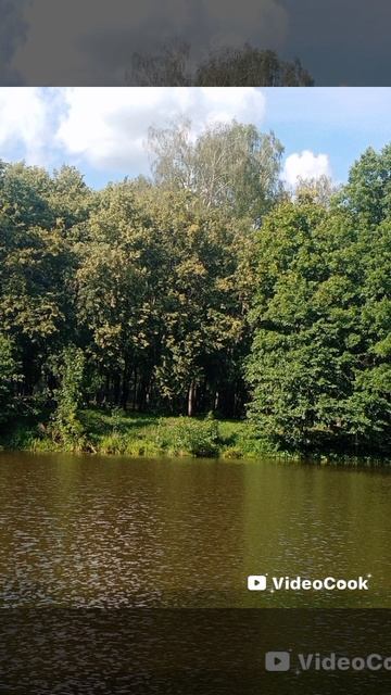 Спасибо большое и скоро будет фильм по сценарию моего бота в GIGA ссылка в коментах.