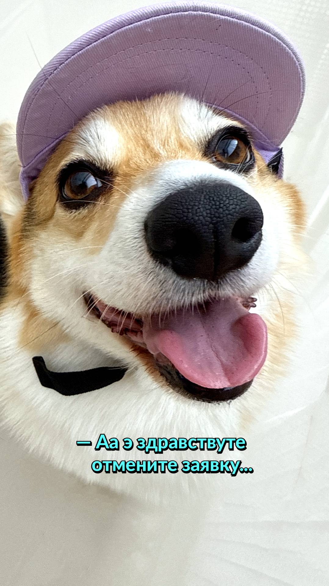 МУЖЧИНА, ПЕРЕЛОГИНТЕСЬ! 😡