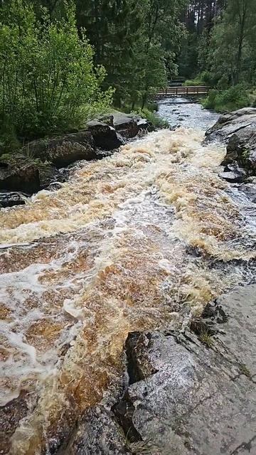 Карелия. Питкяранта. Водопад Нижний Койриноя. Karelia. Pitkyaranta. Lower Koirinoya Waterfall (3)