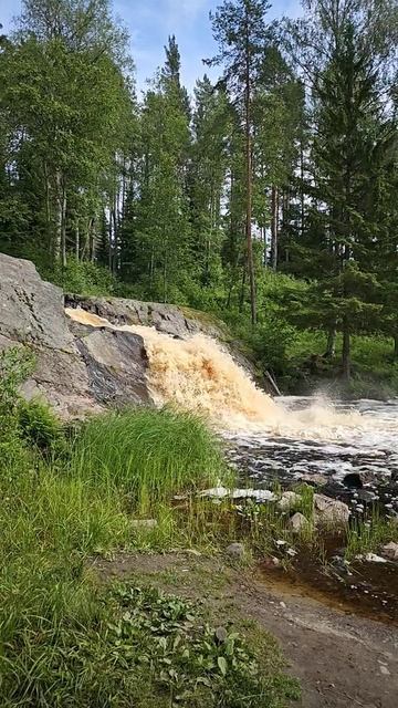 Карелия. Питкяранта. Водопад Нижний Койриноя. Karelia. Pitkyaranta. Lower Koirinoya Waterfall (7)