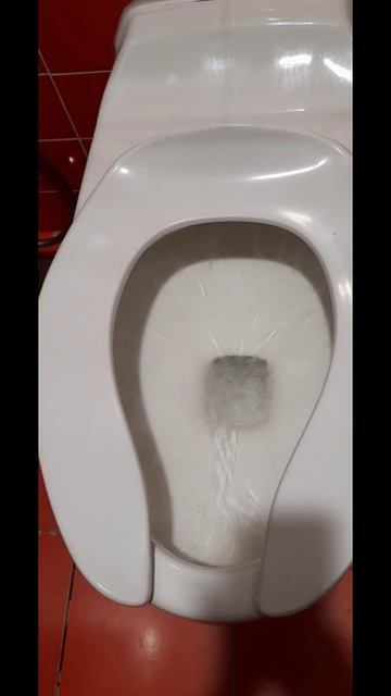 Унитазы с водой