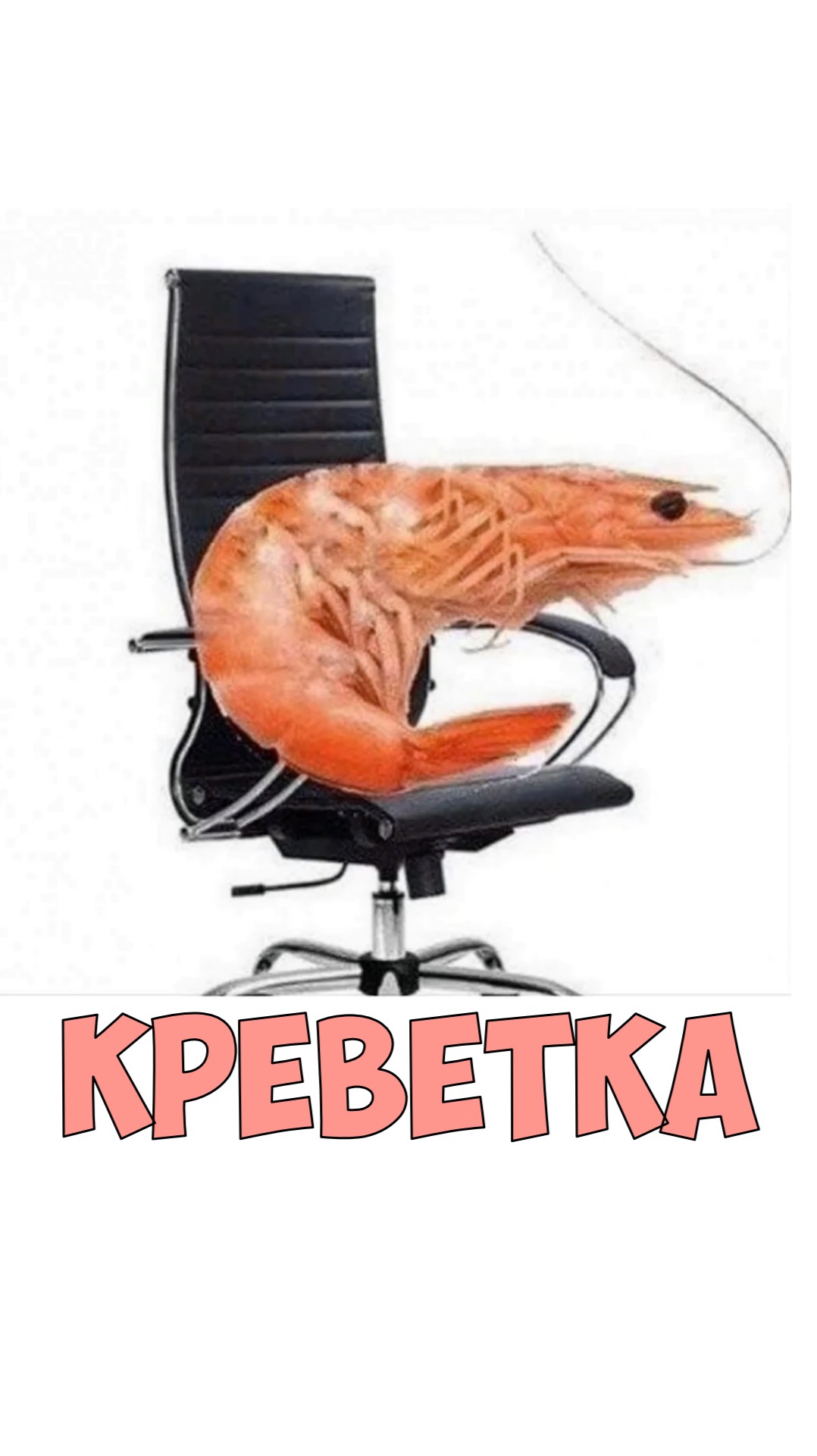 Подпишись на тг канал: SnerkInfo