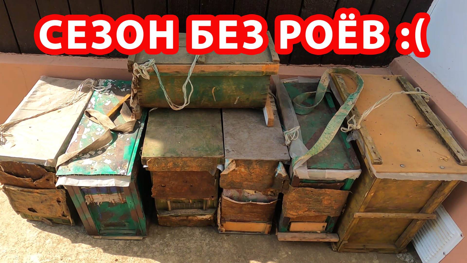 В ЭТОМ СЕЗОНЕ БЕЗ РОЁВ :( :(