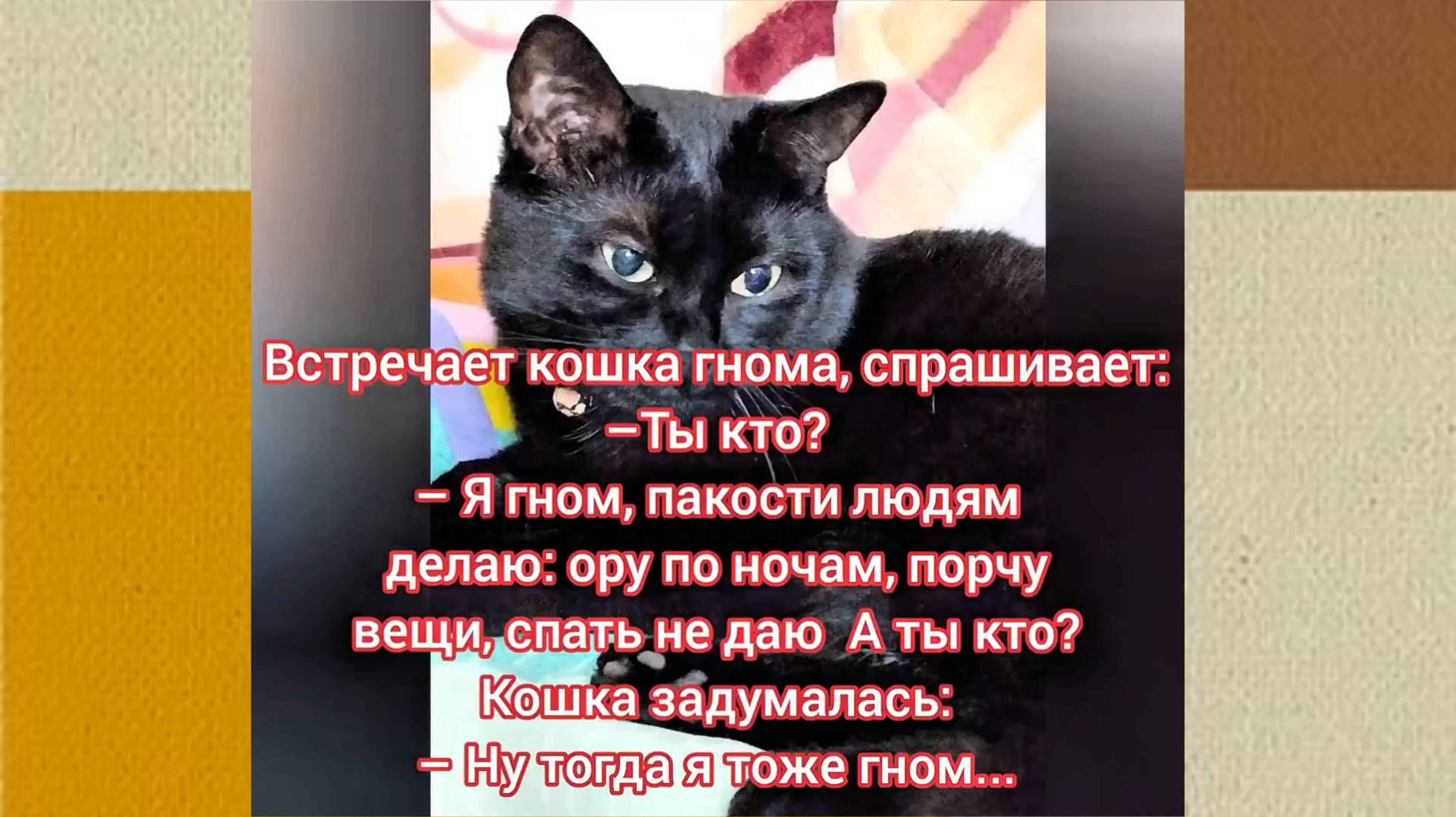 СМЕХ ДО СЛЁЗ . Подборка юмора для настроения.