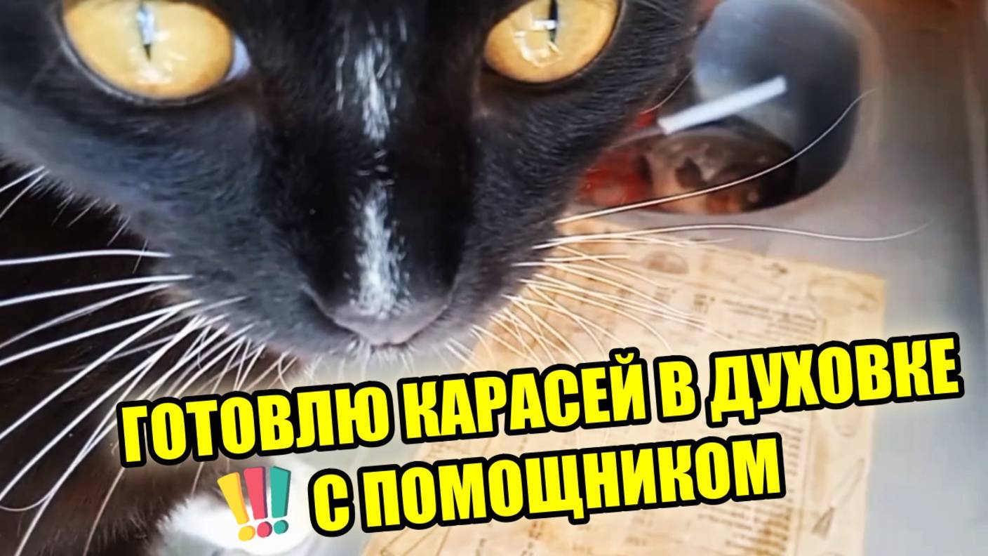 Вкусные караси в духовке — быстрый рецепт с ароматным маринадом