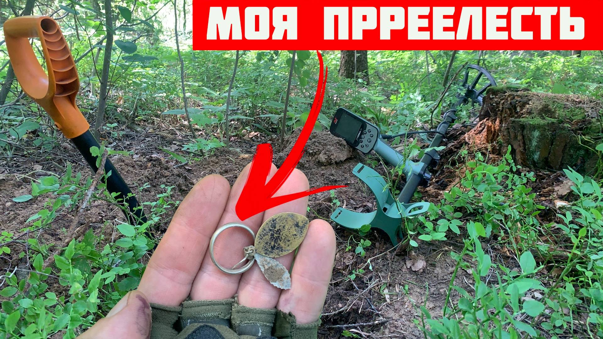 Нашёл Обручальное КОЛЬЦО в черничнике с Металлоискателем