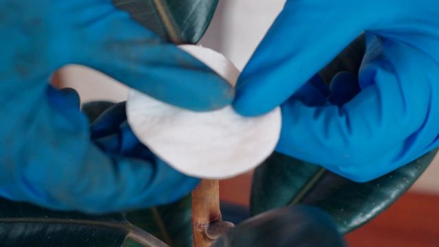 Утреннее шоу Разбудильник | 17.07.2025