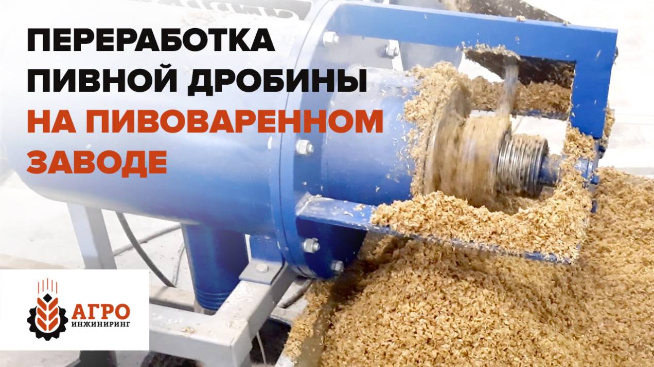 Линия по переработке пивной дробины на пивоваренном заводе в Краснодарском крае.