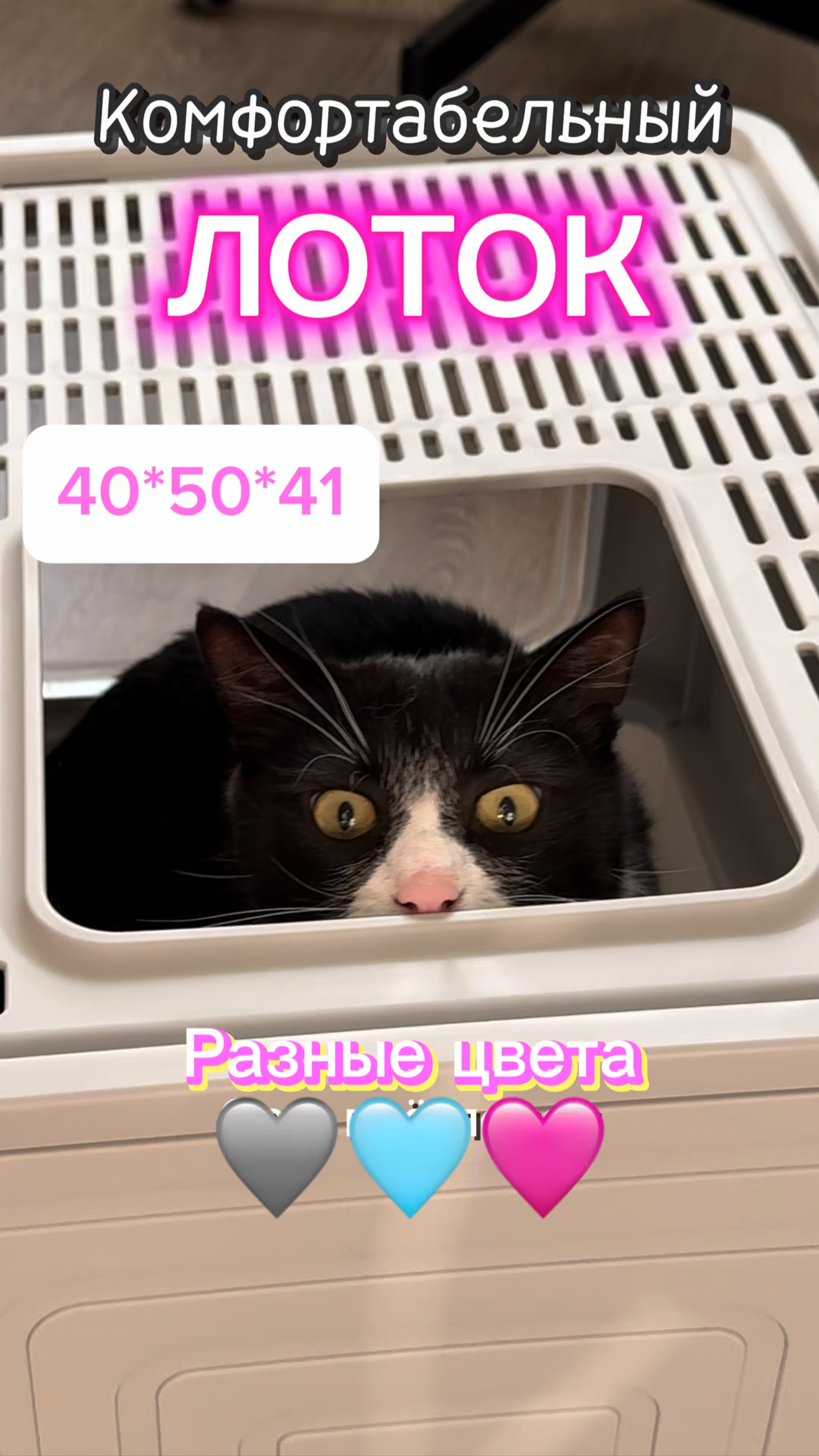 #ozon:1614565416 Большой #лоток #wildberries #обзорывб #находкисвб #распаковка #вайлбериз #wb #cat