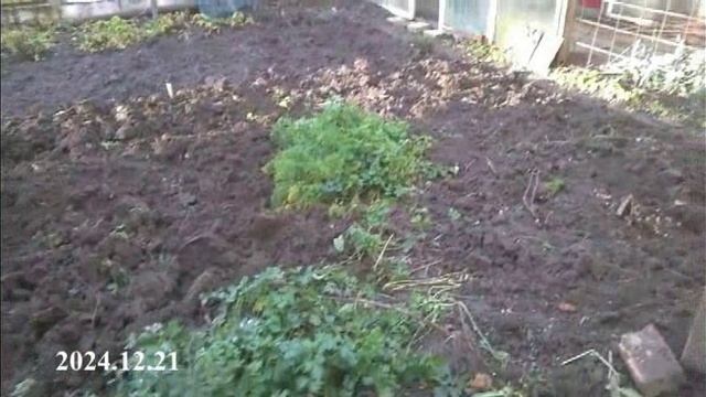 2024 Декабрь_