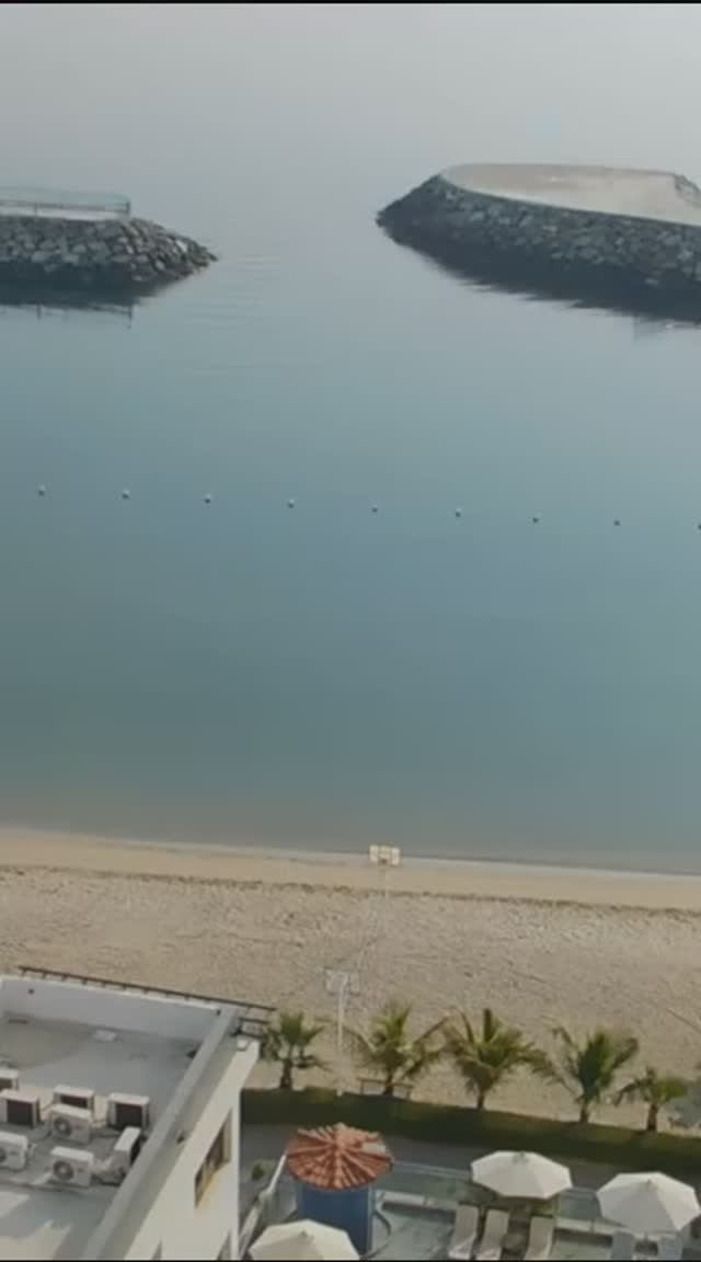 Mirage Bab Al Bahr Beach Hotel 5* ОАЭ Черепаха